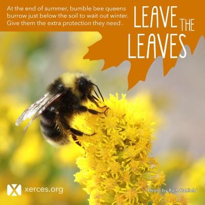 Redirecting to http://www.extension.umd.edu/resource/native-plants-shade